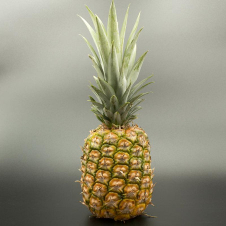 Les fruits, la valse des saveurs tout au long de l'année